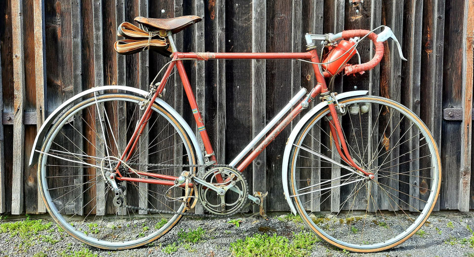 alle 167 er Modelle - Diamant Rennrad