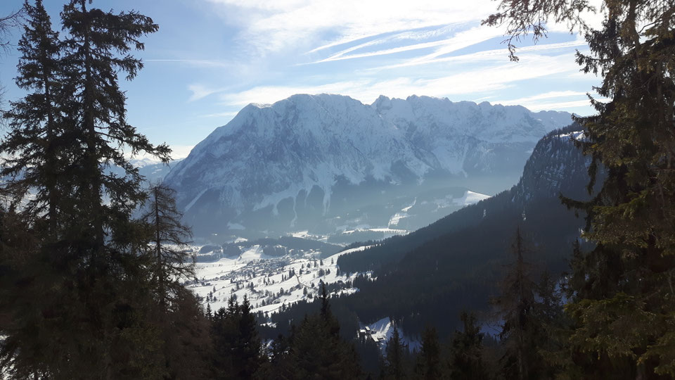 Dachstein Woolwear-Wool Sweaters, Mitts, Socks - Sweater Chalet