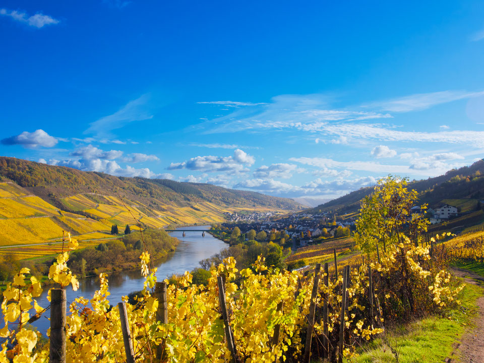 Postkartenbilder im November - Weingut Arns