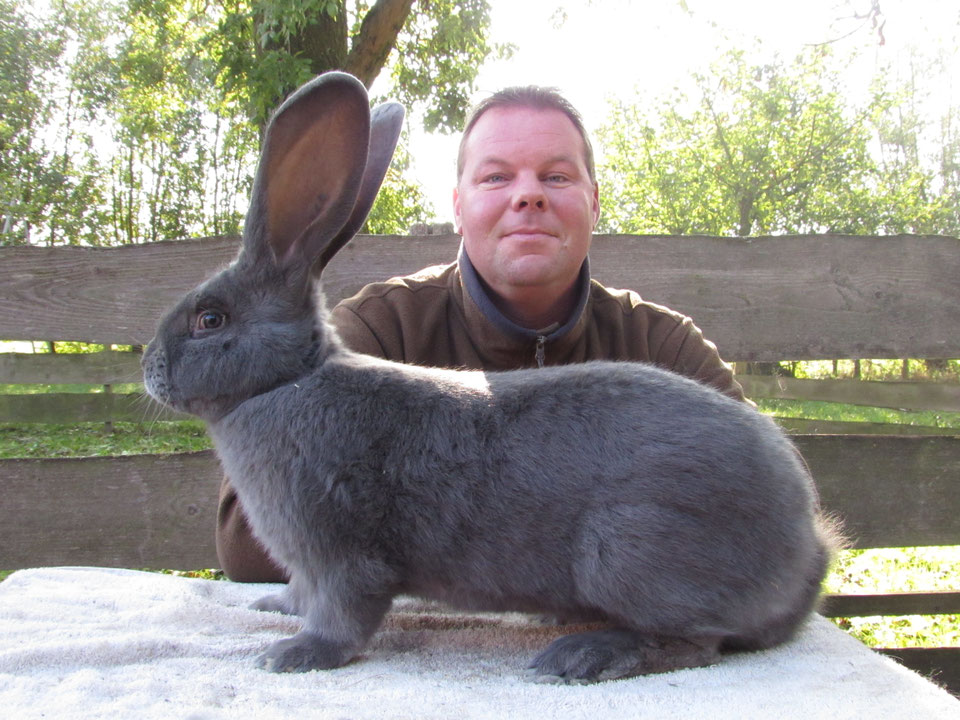 Even voorstellen - De website van patricksblauwevlaamsereuzen!