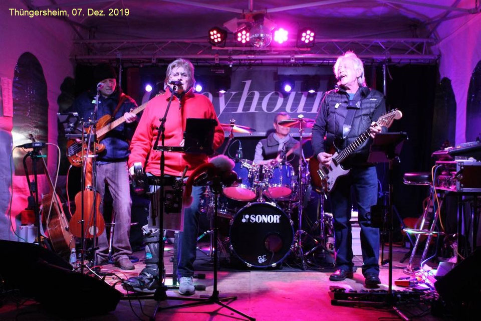 Live-Bilder - greyhound-bands Webseite!