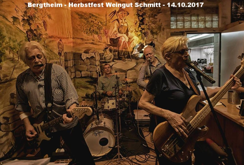 Live-Bilder - greyhound-bands Webseite!