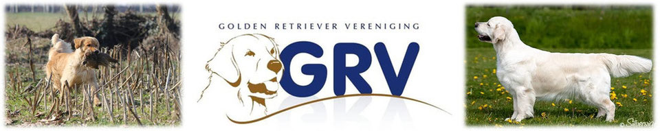 Welkom bij de GRV - Golden Retriever Vereniging