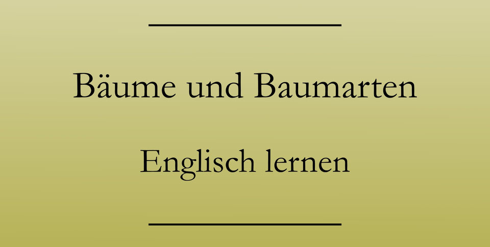 Bäume auf Englisch: Ast, Tanne, Buche - Englisch lernen