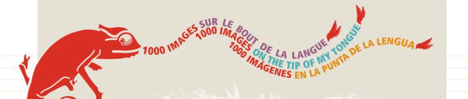 Codes vocabulaire : MAGIMOTS - Site de classedemonsieuretienne