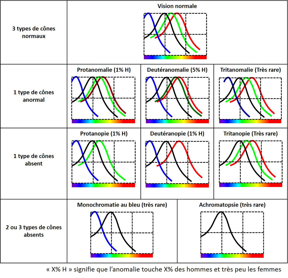 Le daltonisme - 1,2,3 Couleurs ! Expériences scientifiques et boutique ...