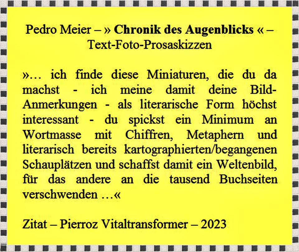 Pedro Meier Schriftsteller Zitate - Stiftung Gerhard Meier Haus ...