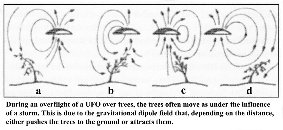 The Unified Quantum Field Theory of Burkhard Heim - IGAAP e.V ...