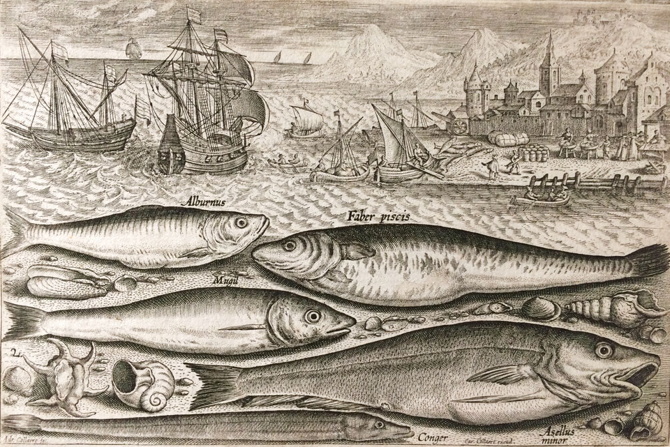 Adriaen Collaert (ca.1560-1618) - Gabinete del Grabado