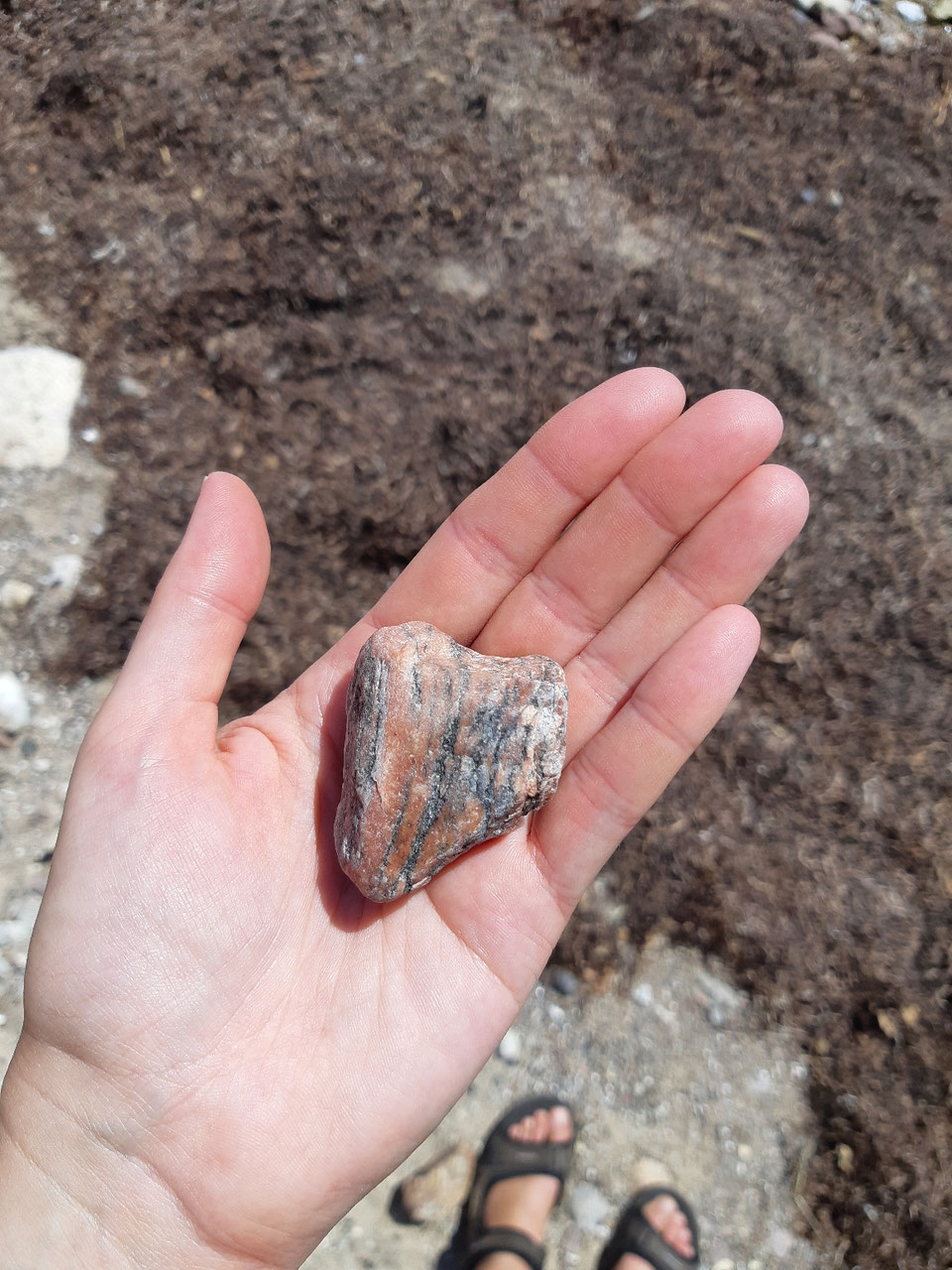 Rückblick: Kommt Mit Auf Unsere Kleine Wanderung... - Handgemachte ...