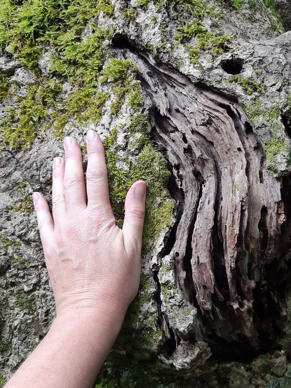Rückblick: Kommt Mit Auf Unsere Kleine Wanderung... - Handgemachte ...