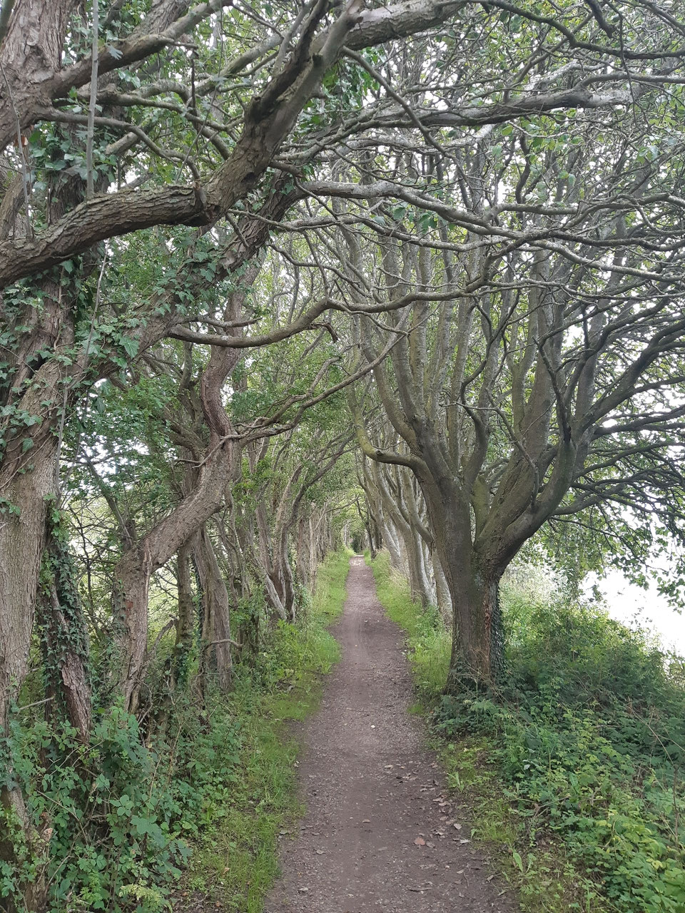 Rückblick: Kommt Mit Auf Unsere Kleine Wanderung... - Handgemachte ...