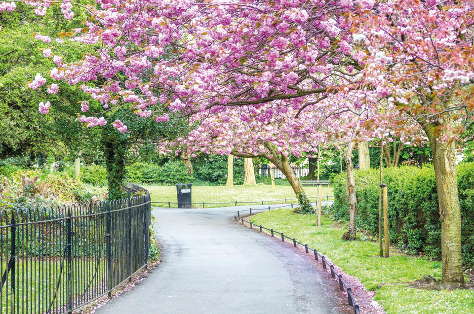 Best destinations for spring time in Europe - Europe's Best Destinations