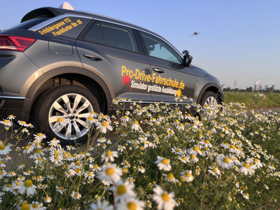 Pro Drive Fahrschule Köln - Fahrschule Pro Drive Köln