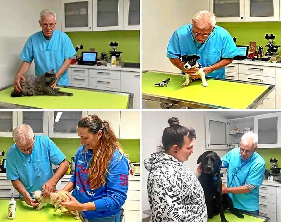 Tierarzt - Katzen Hotel