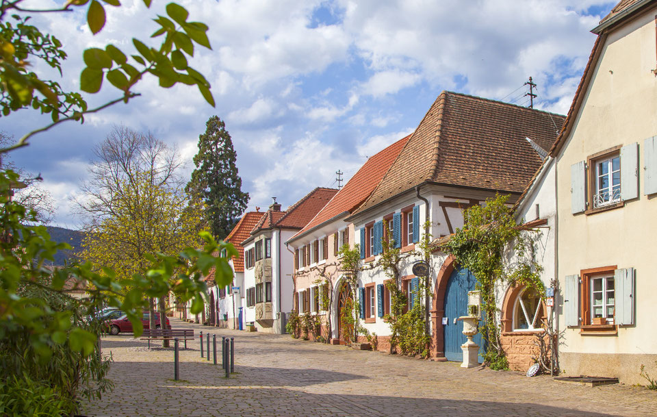 Rhodt unter Rietburg - Pfalz Weinfeste