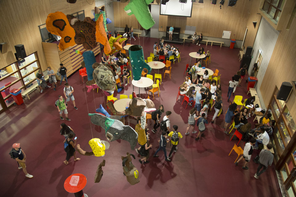 Arte College - Artevaardigheden!