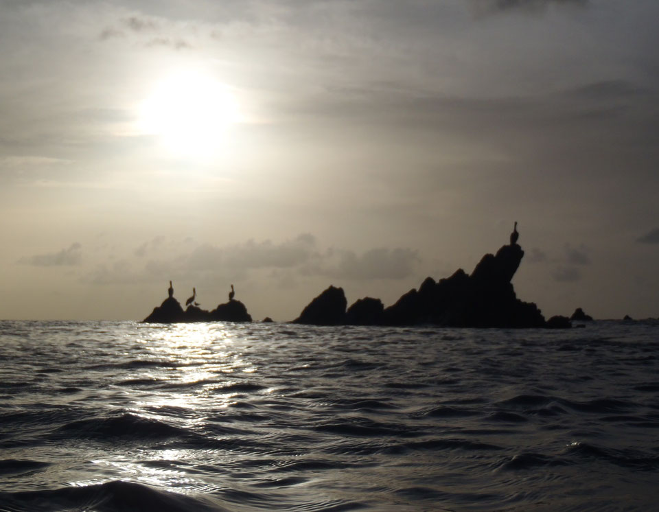 Castara, Tobago- "Just a Small Part of Paradise" - Feathery Travels