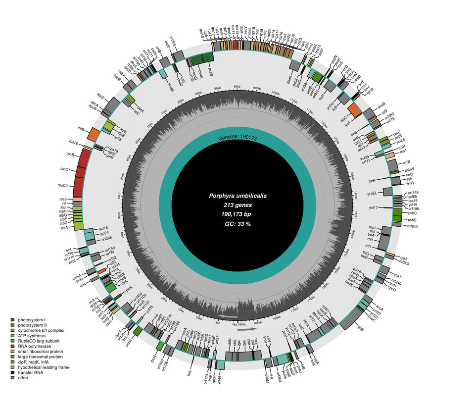 Introduction to Genome Annotation - physalia-courses