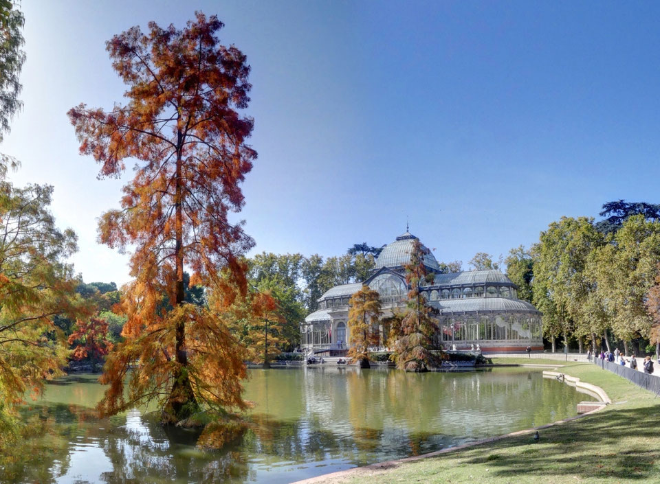 MADRID - Árboles Singulares de la Comunidad de Madrd