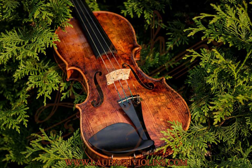 Fine Master Violin with an antique cremonese look and old sound ...