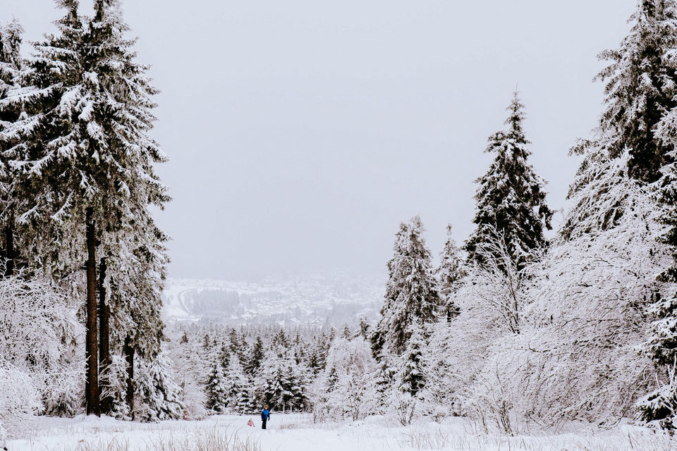 A Day Trip in the Taunus Mountains Near Frankfurt - Travel Diary of a ...