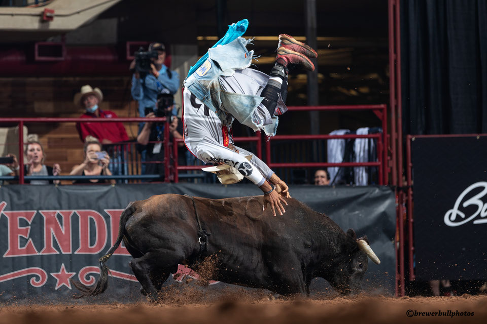 NEWS - BullfightersOnly.com