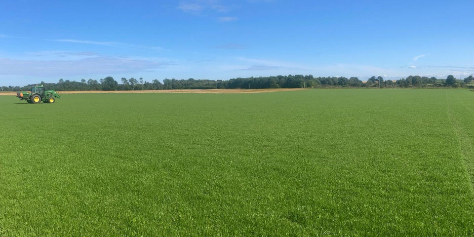 Highland Turf | High Quality Turf and Top Soil Supplier - Highland Turf ...