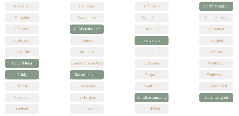 Deine 3 wichtigsten Werte - Der Generalist