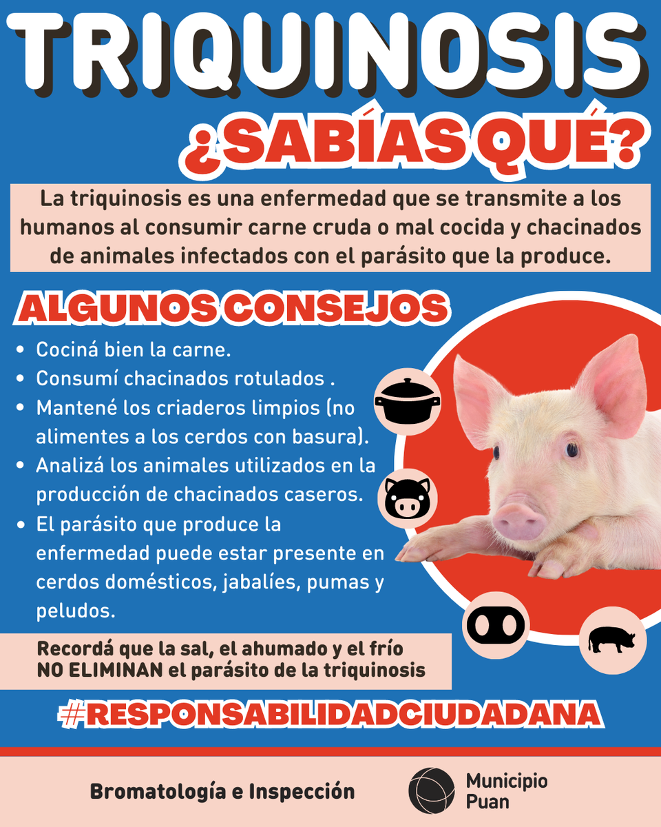 Cómo prevenir la Triquinosis: Consumamos chacinados sin riesgos ...
