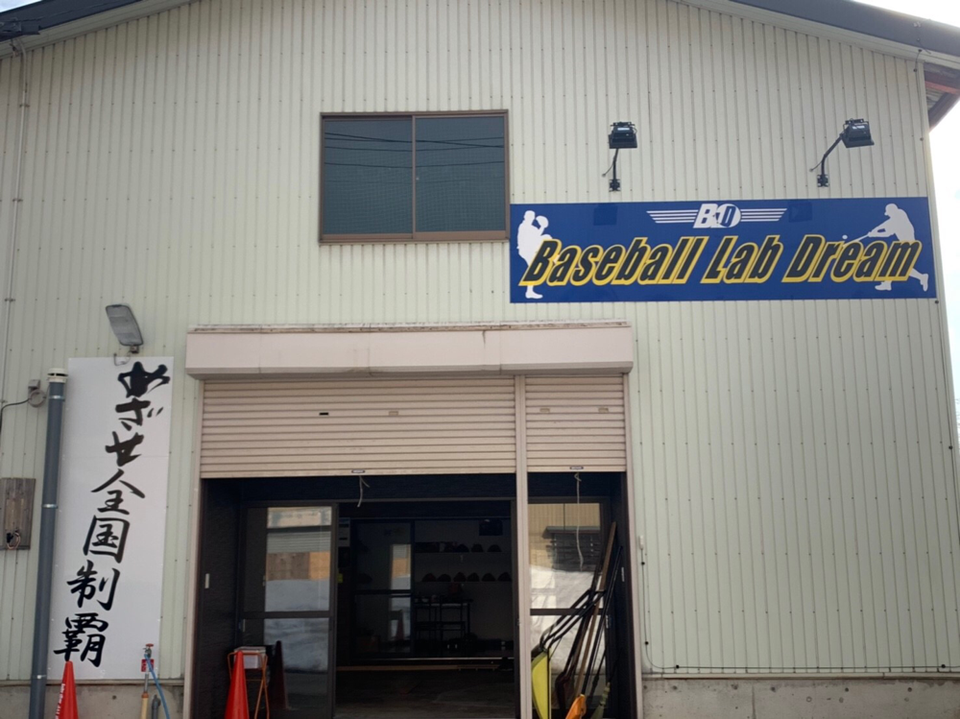 baseball lab dream - Baseball Lab Dream