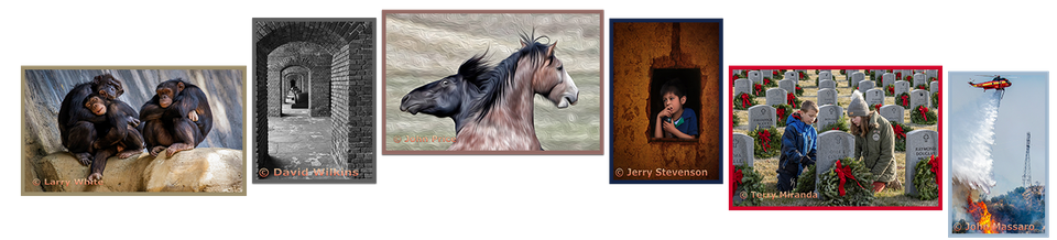 The Photographic Society of America (PSA) - s4c-photo2