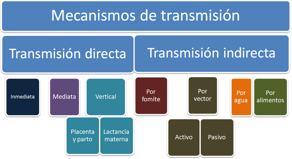 Mecanismos de transmisión de las enfermedades - Página web de bioamerica6
