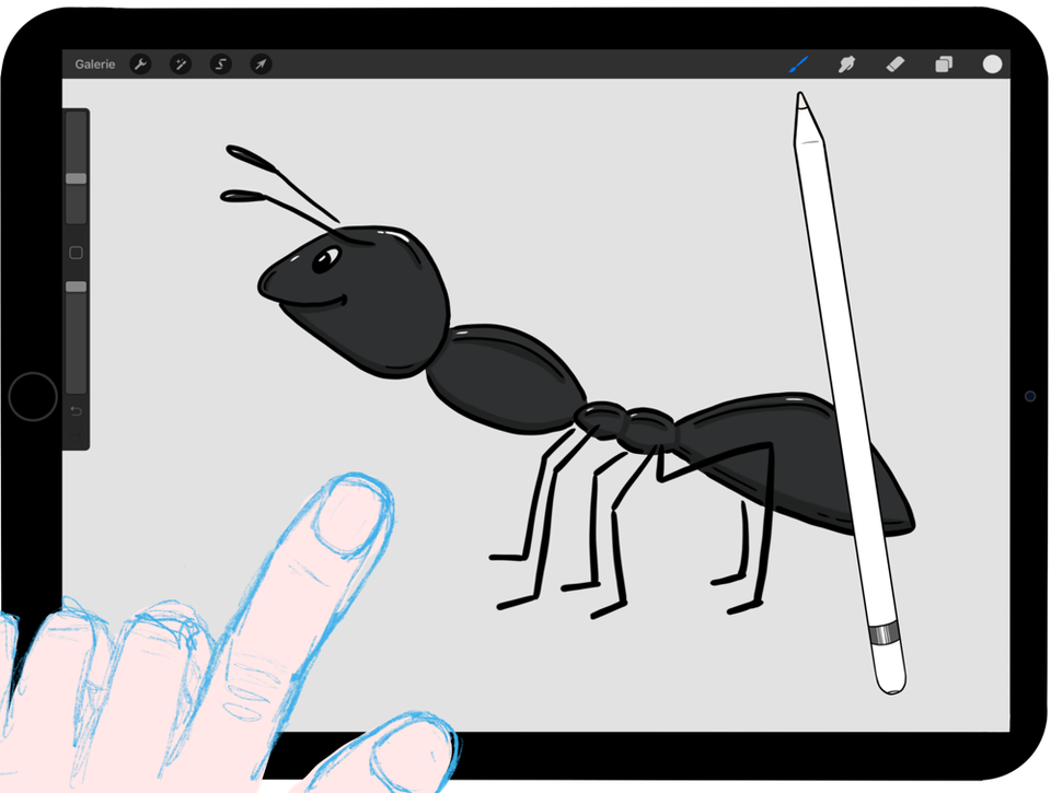 Procreate lernen - Online Kurse - chartflipper.de