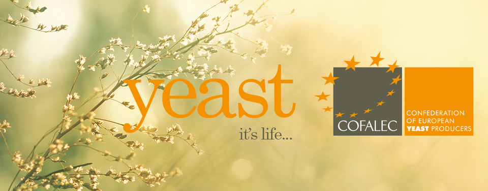 COFALEC - Confederation of yeast - Yeast it's life - COFALEC