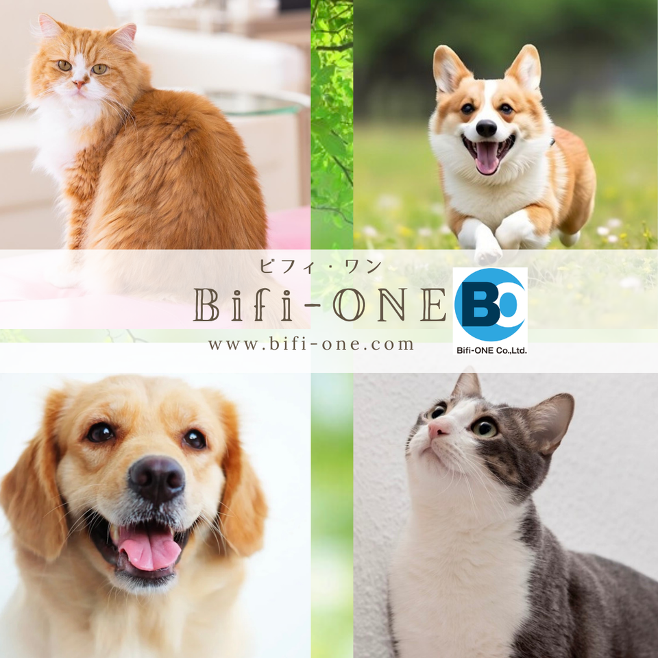 お客様からのご感想 ⑪ - Bifi-S ペットのプロバイオティクス 動物由来ビフィズス菌(生菌)