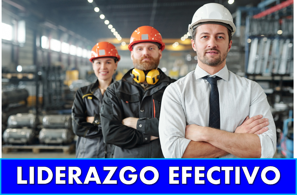 Desarrollo de Supervisores - Capacitación de Impacto