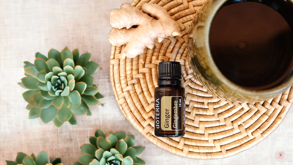 Aroma Welt │Ginger Oil - Ingweröl - Ingwer ätherisches Öl - doTERRA ...