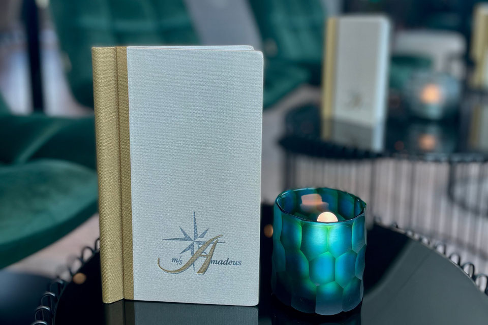 AMADEUS Riva: Fazit zu unserer Flusskreuzfahrt mit Amadeus ...