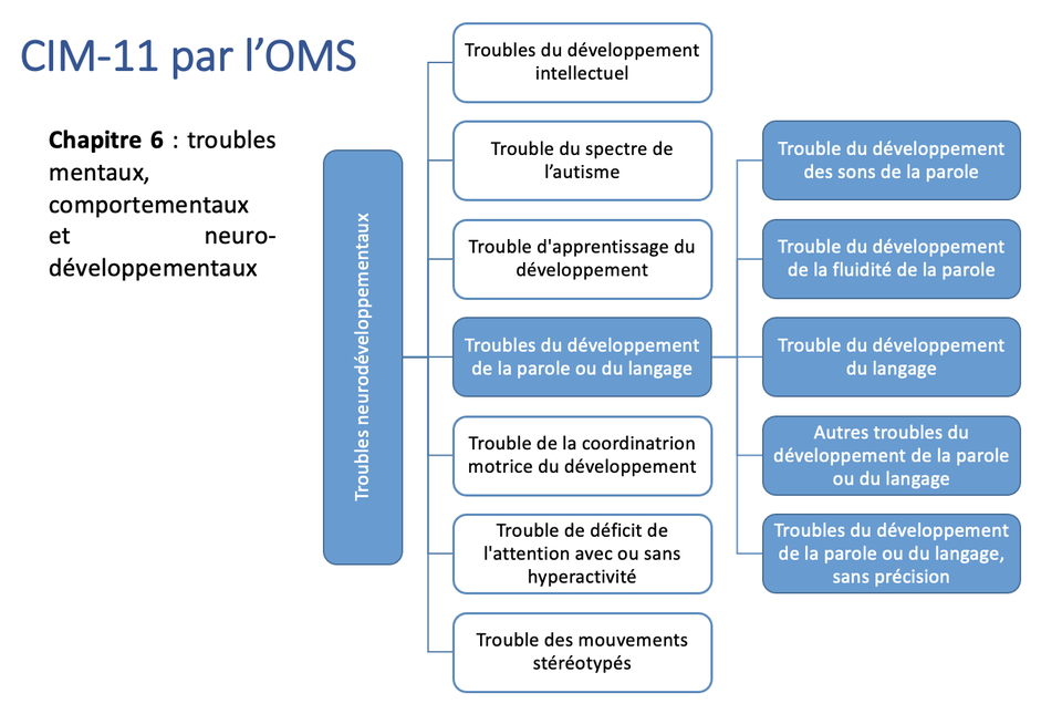 Troubles des sons de la parole : un terme parapluie ? - L'ortho en ...