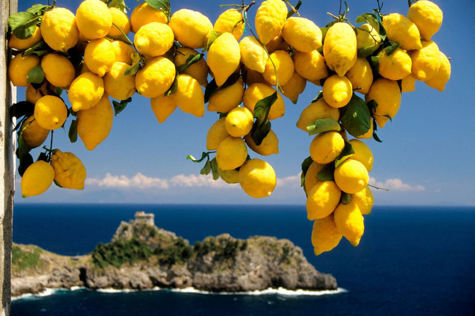 The famous lemon growers from the Amalfi Coast - amalfistyle