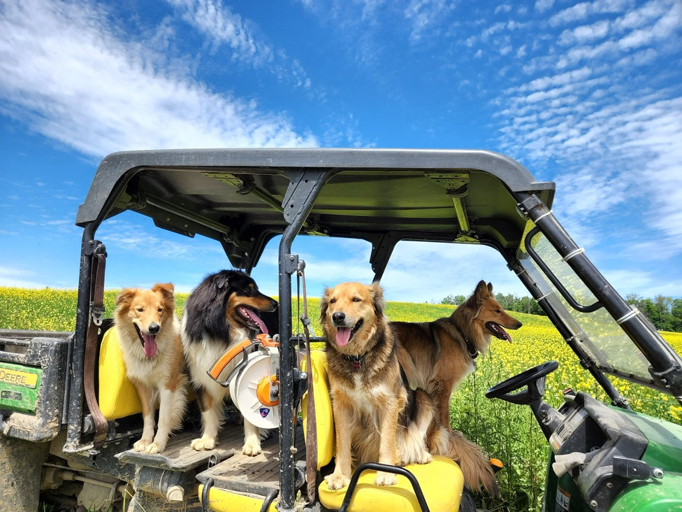 Farm Tours - goodfamilyfarms