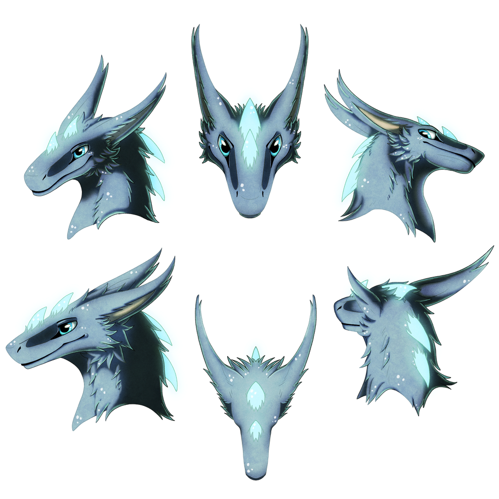 Anatomy - atlasmorumotto