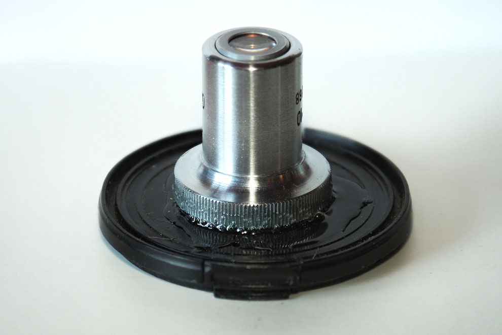 Deckel - Insekten und Pflanzen