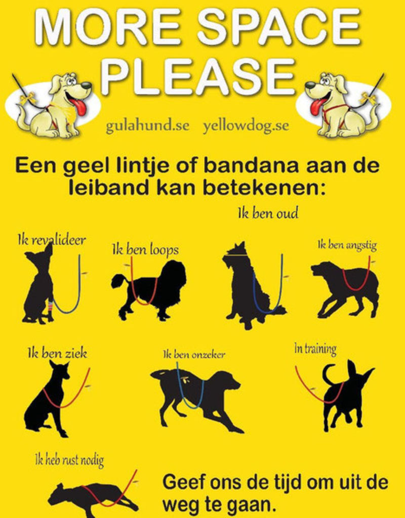 Mijn hond draagt een geel lintje - Accommodatie voor een vakntie met ...