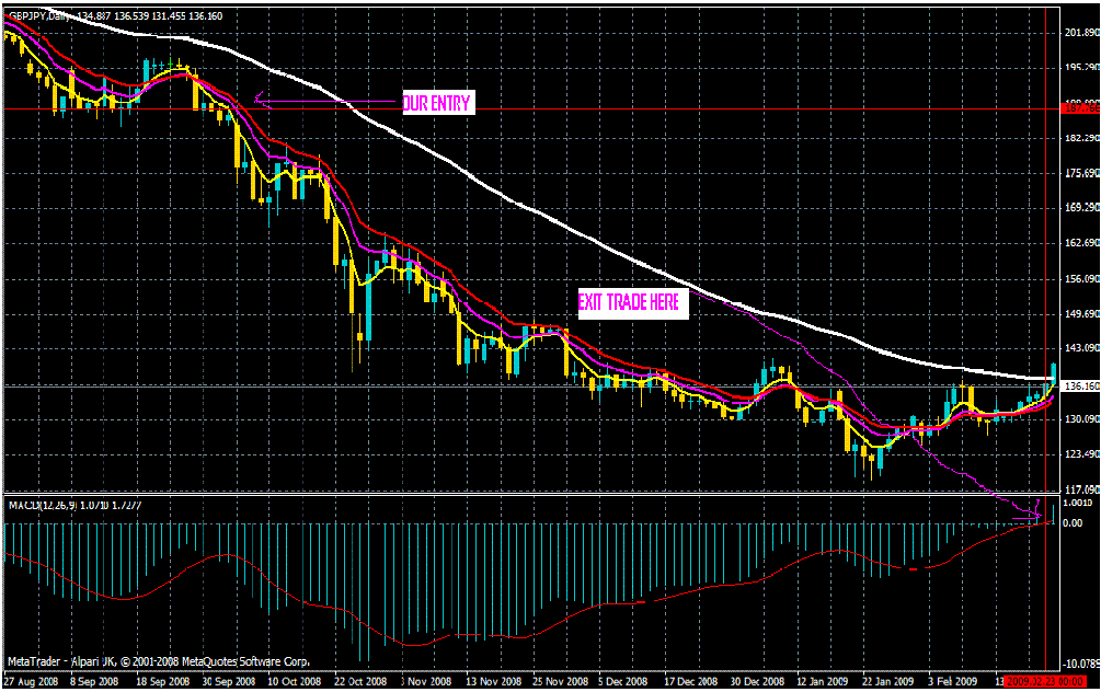 Simple MA+MACD Trading System - Forex Strategies - Forex Resources ...