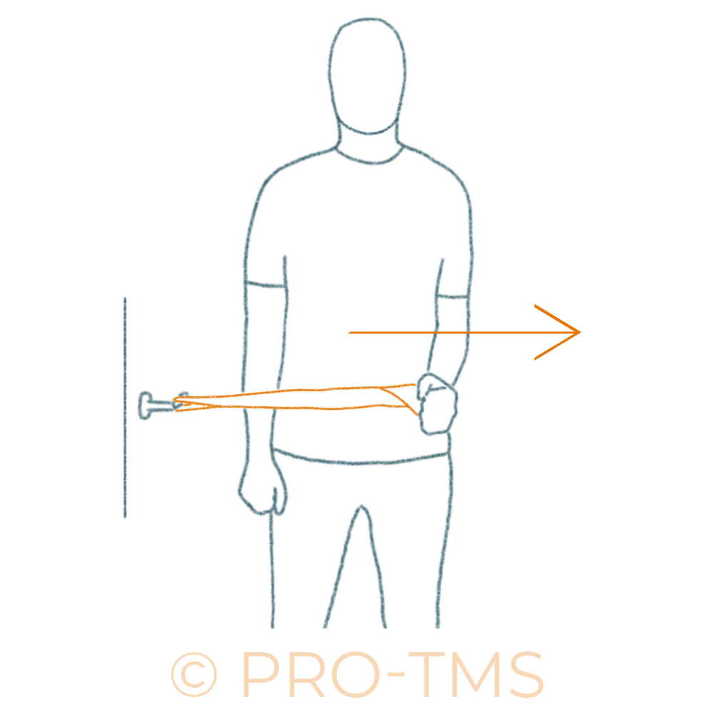 Renforcement musculaire des rotateurs externes de l'épaule - PRO-TMS