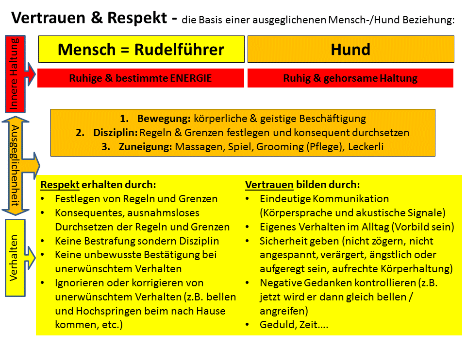 Basis einer ausgeglichenen Beziehung - ric-dogs Hundesupport