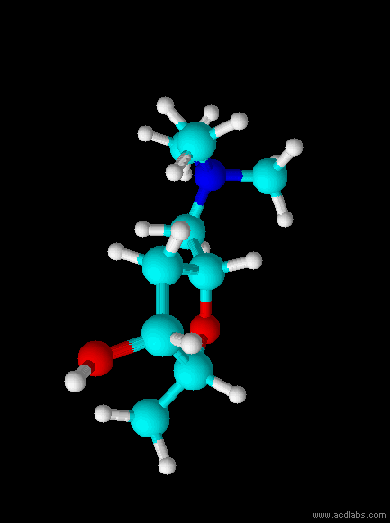 Muscarin - Natur im Barnim