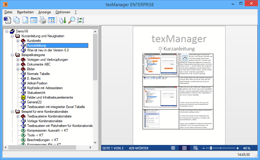 Textbaustein-Vorschau - texManager